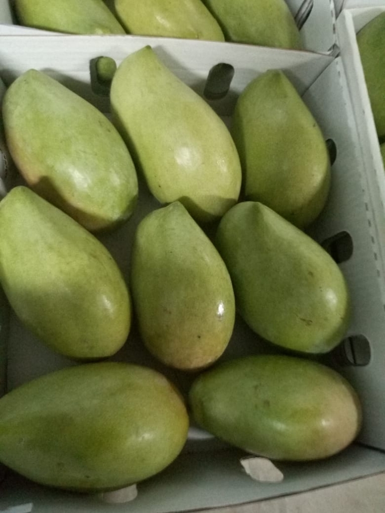 Mango Ngowe - GardenVeg